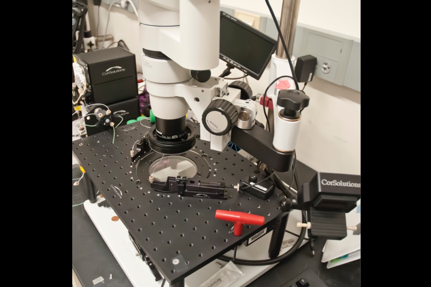 CorSolutions Microfluidic Probe Station (2nd Floor) | CNF Users